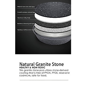 TAMASAKI 11 Inch Nonstick Medical Stone Skillet No Fumes Frying Pan Household Nonstick Cookware Stone-Derived Coating with Glass Lid Black