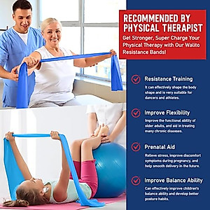 WALITO Resistance Bands for Working Out, Exercise Bands for Women and Men, Workout Bands for Physical Therapy, Stretch, Recovery, Pilates, Rehab, Strength Training and Home Gym