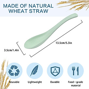 8 Pcs Plastic Spoon Dinner Spoons, Lnrkai Portable Reusable Soup Spoon Reusable Multicolor Lightweight Durable Spoon Dishwasher & Microwave Safe for Gift Set (8PCS)