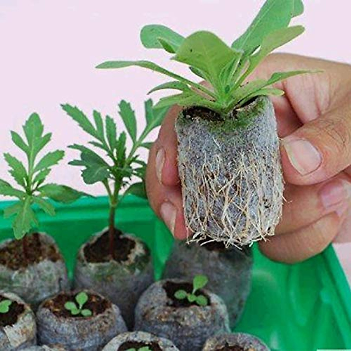 120 Pcs Peat Pellet - 35mm Plant Pallet Seedling Soil Block,Plant Starting Plugs Peat Pellets Bulk for Plant Starter Pellet,Transplanting Growing Garden Flower Vegetables
