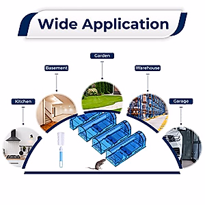 Humane Mouse Traps Indoor for Home/Outdoor, Live Catch and Release Mice Traps, No Kill Mouse Catcher, Easy to Set and Reusable Humane Trap, Safe for Families and Pets 4 Pack Blue