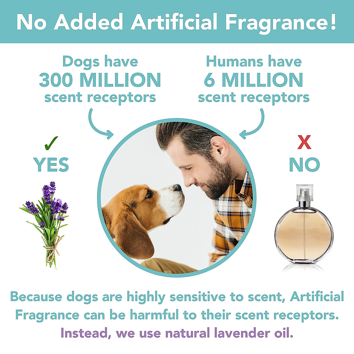 VET-VIRTUE Fragrance Free Ear Wipes for Dogs