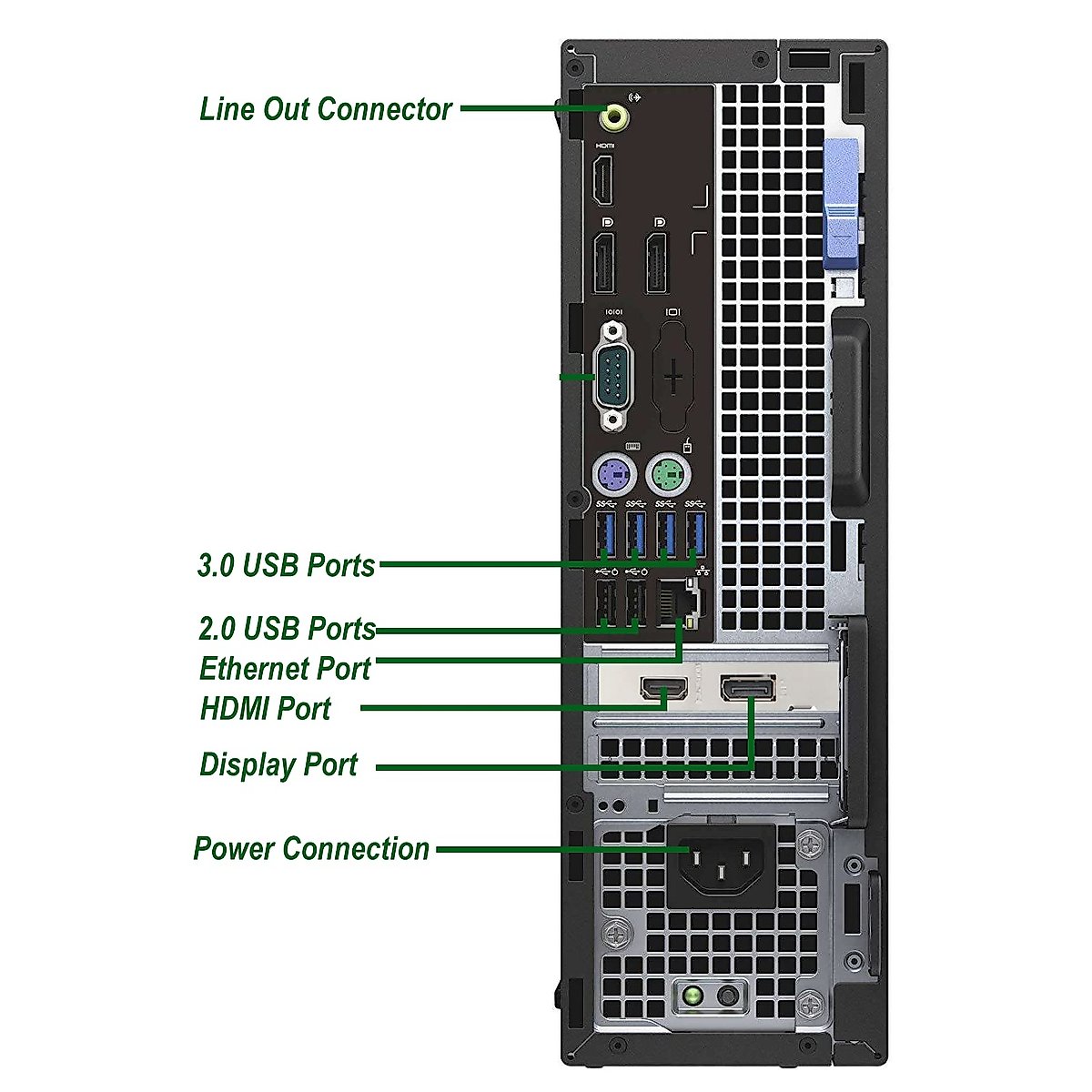 Dell OptiPlex 7040 Small Form Computer Desktop PC, Intel Core i5-6500 3.20GHz Processor, | 16GB Ram, 256GB SSD | HDMI, AMD Radeon RX-550 4GB Graphics, Wireless WiFi, Windows 10 (Renewed)