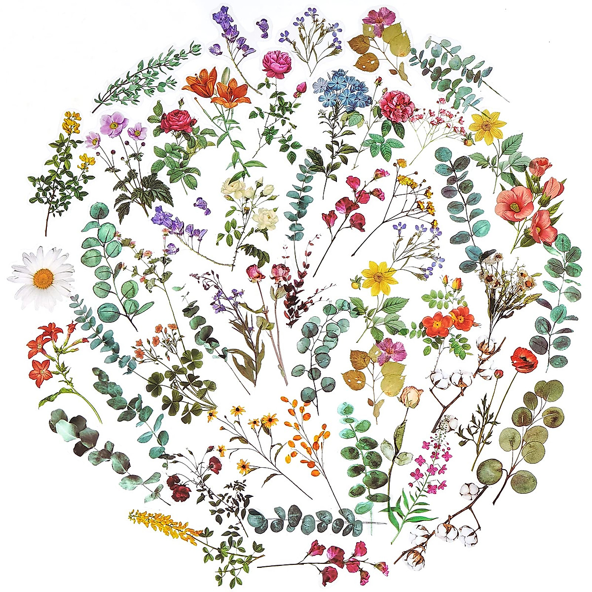 Knaid Flower Eucalyptus Plant Stickers Set (160 Pieces) - PET Transparent Waterproof Decorative Decals for Scrapbook DIY Crafts Album Bullet Journal Planner Water Bottles Phone Cases Laptops