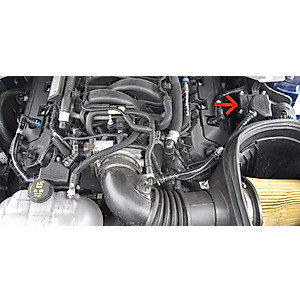 Ford Racing (M-6766-A50S) 15-16 Mustang GT350 5.2L V8 Oil-Air Separator