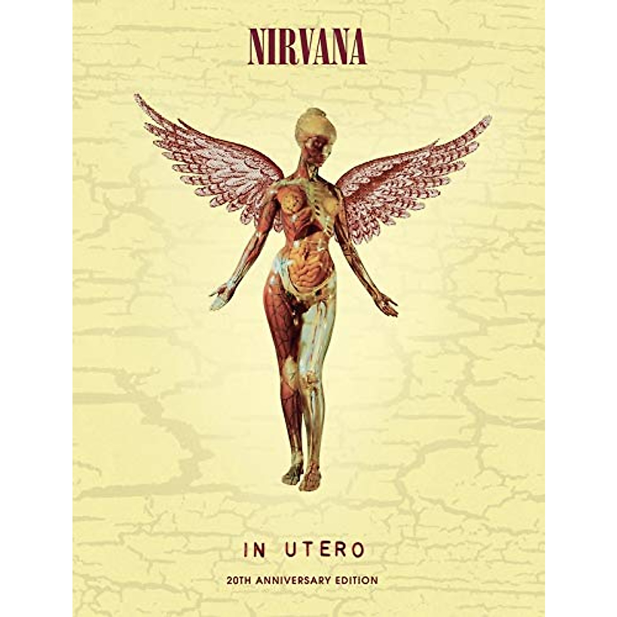 GZSDFOV Nirvana in Utero Huge Wall Decor Wall Poster Print