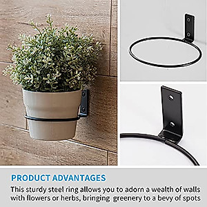 Plant Holder Ring 6 Inch Wall Mounted, 6 Pack Flower Pot Hangers Metal Plant Stand Hanging Bracket Basket Hooks