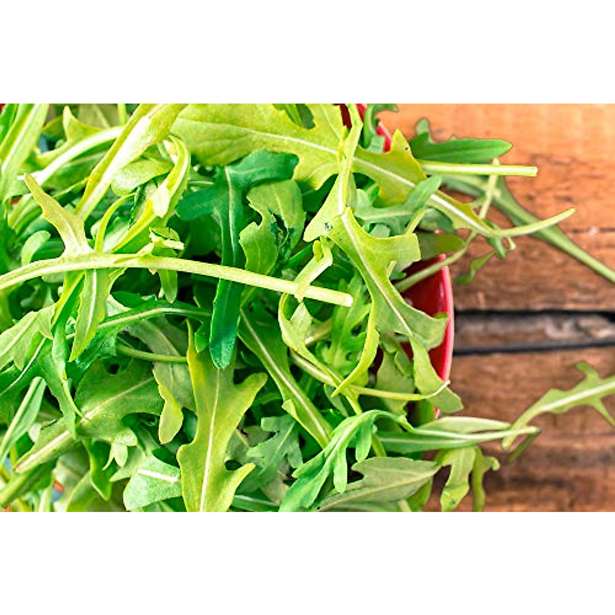 "Roquette Arugula" Seeds for Planting, 1000+ Heirloom Seeds Per Packet, Non GMO Seeds, (Isla's Garden Seeds), Botanical Name: Eruca vesicaria, Great Home Garden Gift