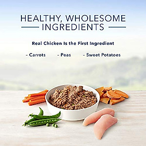 Blue Buffalo Homestyle Recipe Natural Senior Wet Dog Food, Chicken 12.5-oz can (Pack of 12)