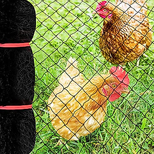 25 x 50 Ft Bird Netting with 2.4 in Square Mesh, Reusable Garden Netting for Chicken Coop, Nylon Poultry Net Deer Fence Netting for Protecting Vegetables Fruit Tree from Birds Squirrel
