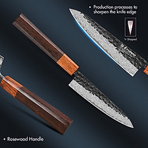 TURWHO 10.5-inch Japanese Sashimi Knife Hand Forged 67 Layers Damascus Steel Salmon Kitchen Knives