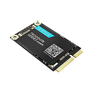 ORICO M200 256GB mSATA SSD Hard Solid Drive- 3D NAND TLC - SATA III - 6Gbps-Internal Solid State Drive for Desktop Laptop -M200 (256GB)