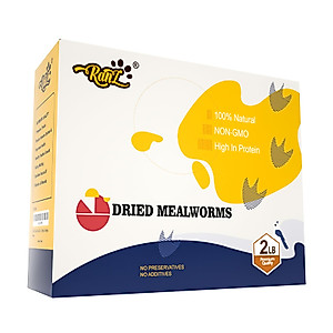 RANZ 2LBS Non-GMO Dried Mealworms for Chickens, High Protein Meal Worms, Premium Chicken Feed, Whole Large Mealworms for Wild Birds, Ducks, Fish