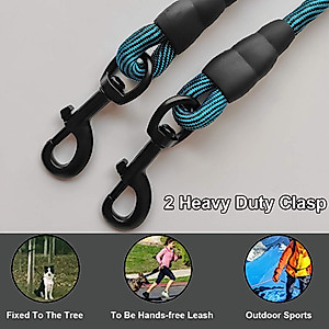 BTINESFUL Tie-Out Check Cord Long Rope Dog Leash, 12ft 20ft 30ft 50ft Recall Training Lead Leash- Great for Large Medium Small Dogs Training, Playing, Camping, or Backyard (30ft, Blue Black)