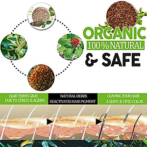 Brilliaire Organic Grey Reverse Shampoo Bar-Bar Shampoo For Hair, Solid Shampoo Bar, Natural Darkening Shampoo Bar, Hair Soap,Bar Shampoo Natural, Hair Darkening Shampoo Bar (1 Pcs)