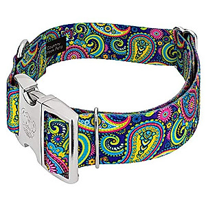 Country Brook Petz - 1 1/2 Inch Premium Bright Paisley Dog Collar, Large