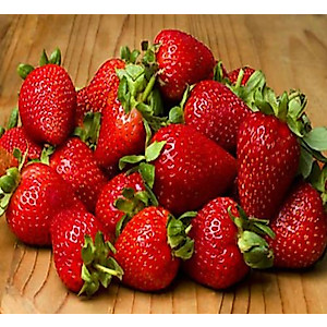9GreenBox 20 OZARK BEAUTY STRAWBERRY PLANTS - Non GMO Heirloom Fruit - Bare Root