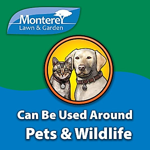 Monterey Sluggo Wildlife and Pet Friendly Snail & Slug Killer, OMRI Listed for Organic Gardening - 2.5-Pounds