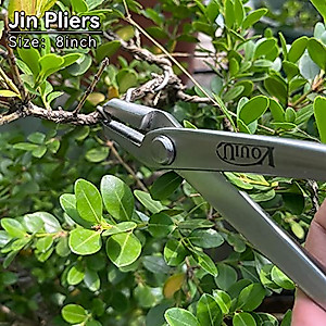 Vouiu 8inch Jin Pliers Bonsai Tools
