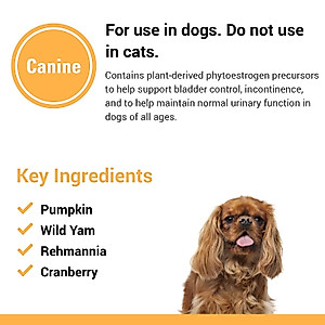 Vet Classics Bladder Support Urinary Tract & Incontinence Dog Supplement – Maintains Bladder Health for Dogs, Helps With Pet Incontinence – Soft Chews, Tablets – 60 Soft Chews