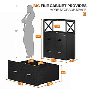 Raybee Filing Cabinet for Home Office Lateral File Cabinet with 2 Wood Drawers, Office Printer Stand with Lock Storage Cabinet for Letter, A4, Legal Size File Folders, 15.8"D x 31.5"W x 40.6"H, Black