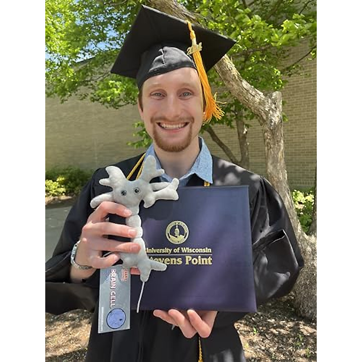 GIANTmicrobes Brain Cell Plush, Neuron Plush, Neuroscience Gifts, Neurology Gifts, Science Plush, Neuron Model Anatomy, Psychology Gifts, Psychology Decor, Brain Themed Gifts, Mental Health Awareness