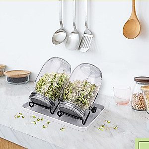 Sprouting Jar Kit, 2 Wide Mouth Mason Jars with Stainless Steel Strainer Lids Stands and Tray Germinator Set, Indoor Seed Sprouter Jar Kit for Growing Broccoli Beans