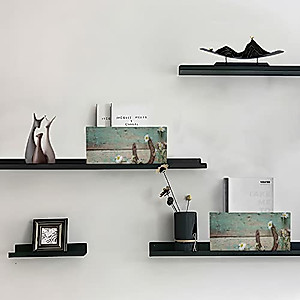 Kcldeci Rustic Rusty Horseshoe and Daisies on Old Wooden Storage Bins Baskets for Organizing, Sturdy Storage Basket Foldable Storage Baskets for Shelves Closet Nursery Toy