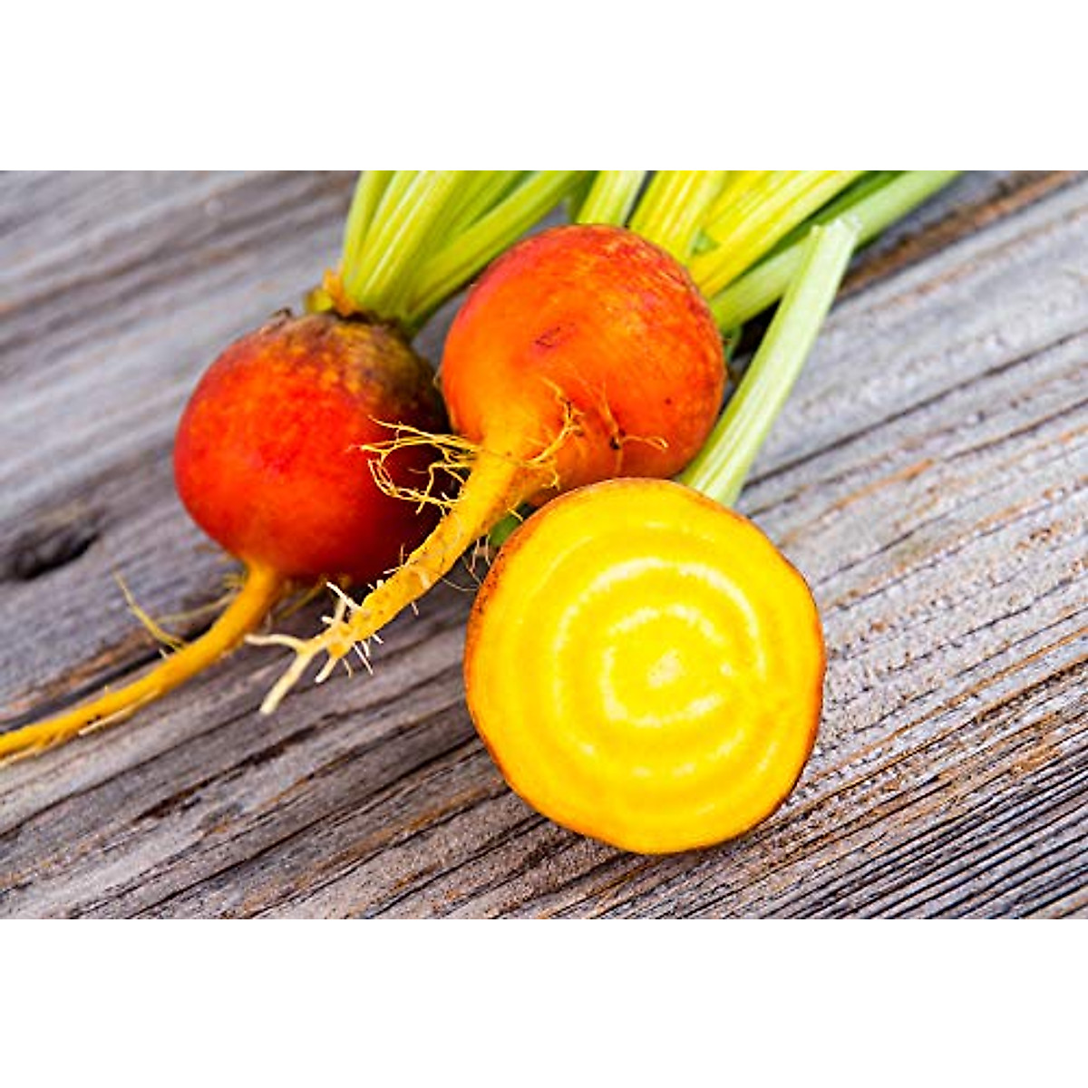 Golden Detroit Beet Seeds for Planting, 100+ Heirloom Seeds Per Packet, (Isla's Garden Seeds), Non GMO Seeds, Botanical Name: Beta vulgaris, Great Home Garden Gift