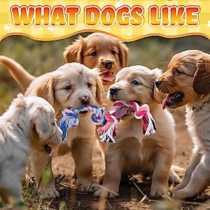 Hiboom 24 Pcs Puppy Rope Toys for Small Dogs Multi Color Puppy Knot Chew Toy Cotton Puppy Teething Toy 2 Knot Dog Tug for Small and Medium Dogs Aggressive Chewers Newborn Pet and High Active Puppies