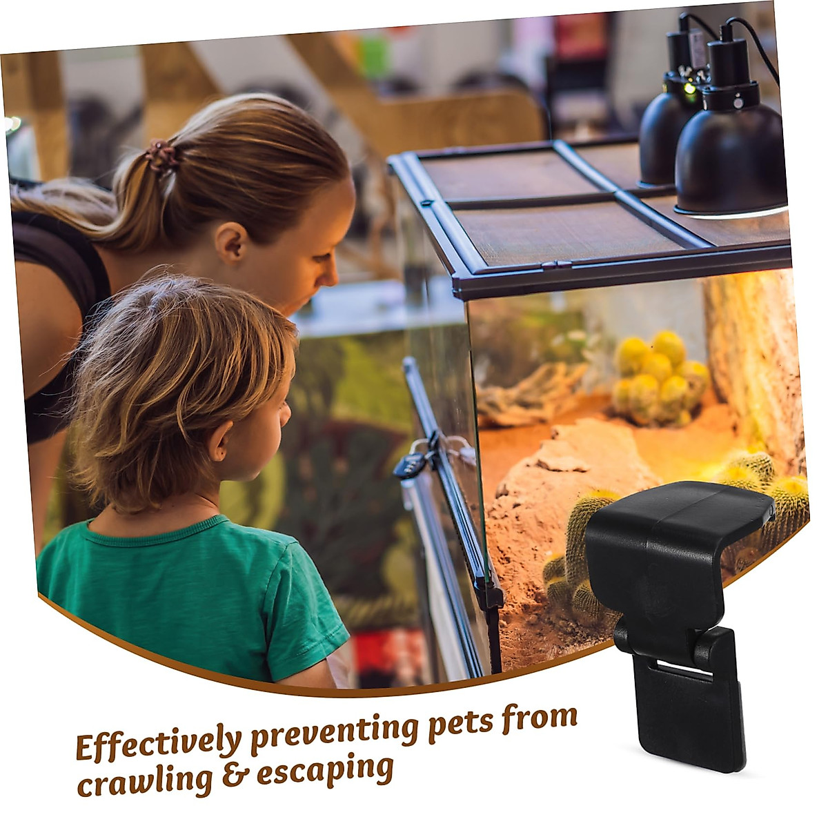 6pcs Cylinder Lock Plastic Turtle Tank Buckle Feeding Tank Parts Turtle Glass Tank Buckle Reptile Pet Tank Latch Reptile Tank Latch Turtle Terrarium Buckle Turtle Tank Latch