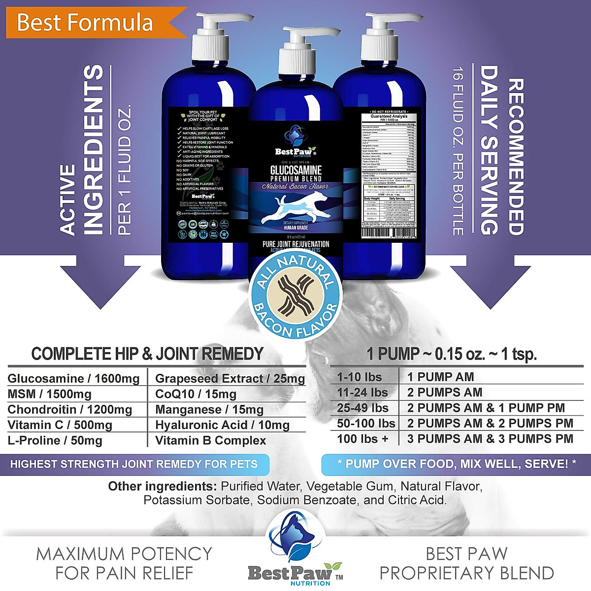 Best Paw Nutrition - Bacon Flavor Liquid Glucosamine for Dogs & Cats - Chondroitin, MSM, Hyaluronic Acid - Dog Arthritis Home Remedy - Joint Supplement for Hip & Joint Pain Relief Pets Love - 16oz