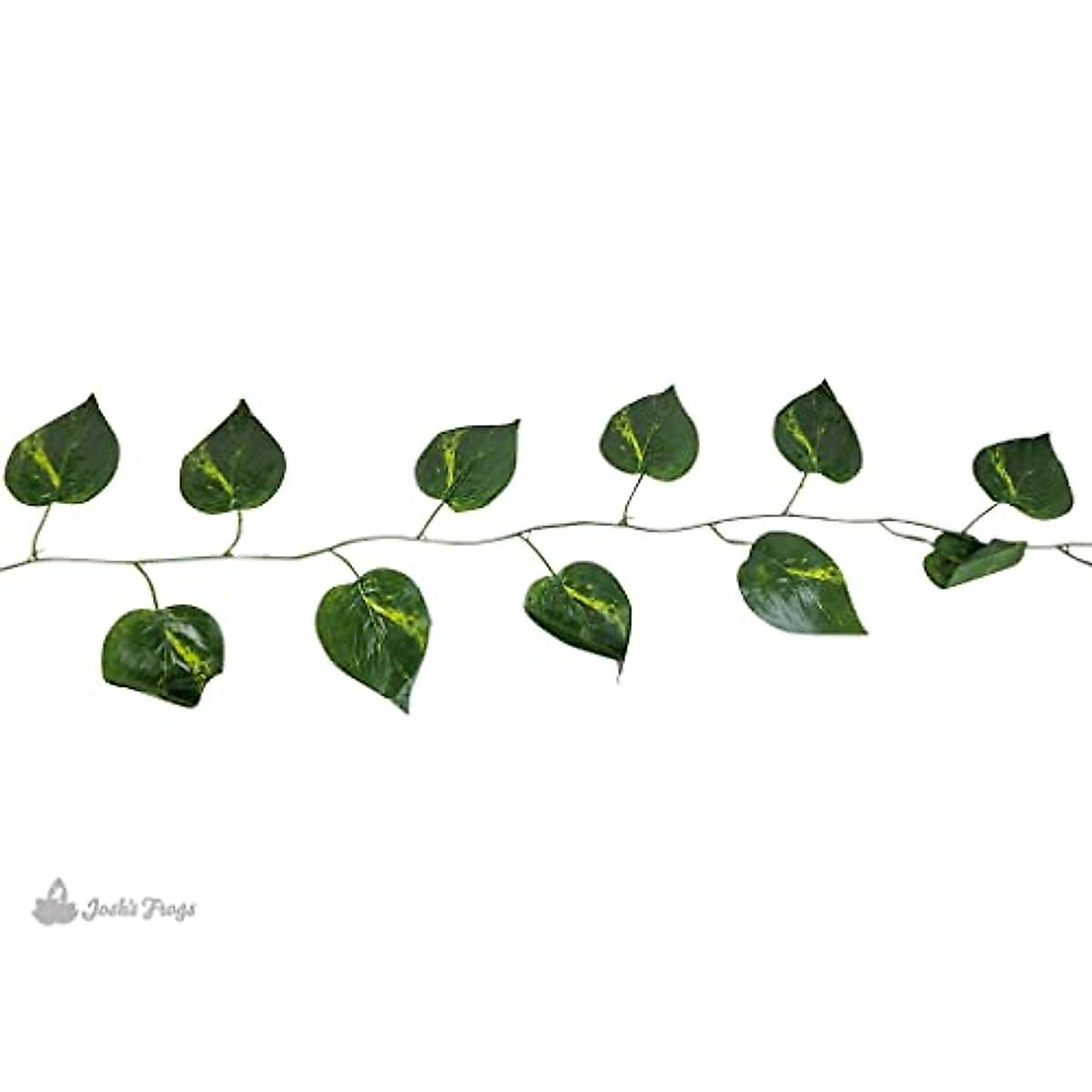 Josh's Frogs Artificial Evergreen Reptile Vine