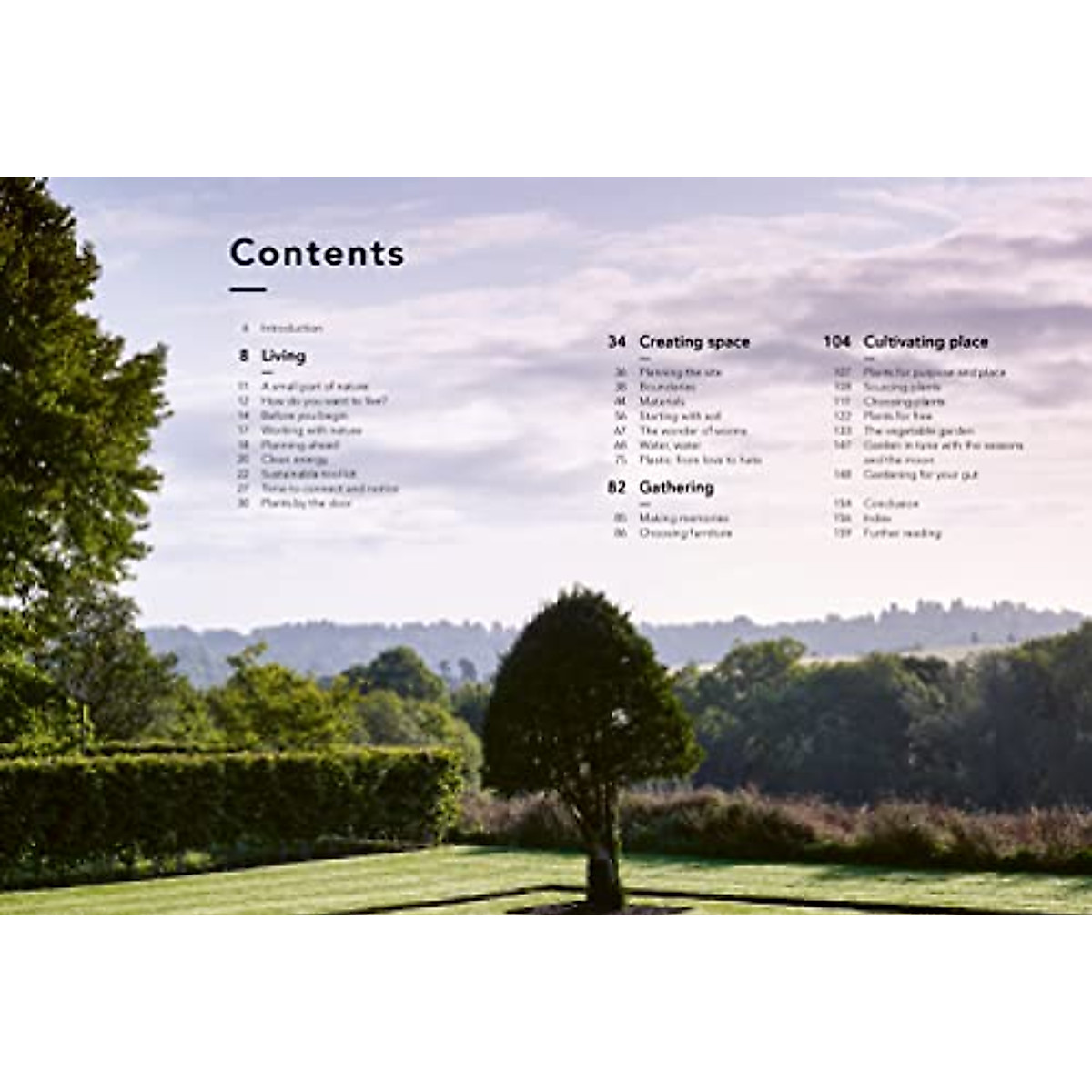 Sustainable Garden: Projects, insights and advice for the eco-conscious gardener (Sustainable Living Series, 4)