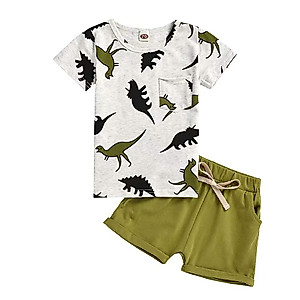 2T Boys Clothes Toddler Boys Summer Outfits Dinosaur T-Shirt & Shorts Set 2 Piece，Green Dino 2-3T/90cm