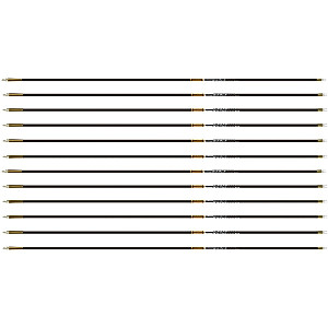 Gold Tip Pierce Platinum Shaft (1 Dozen), Black, 300