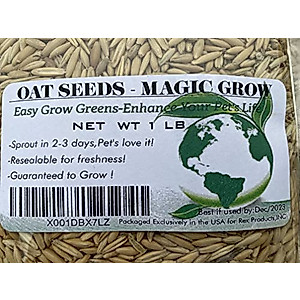 Cat Grass(Sweet Oats for Cats) 1LB (3000 + Seeds) -Easy Grow Greens-Great Value!
