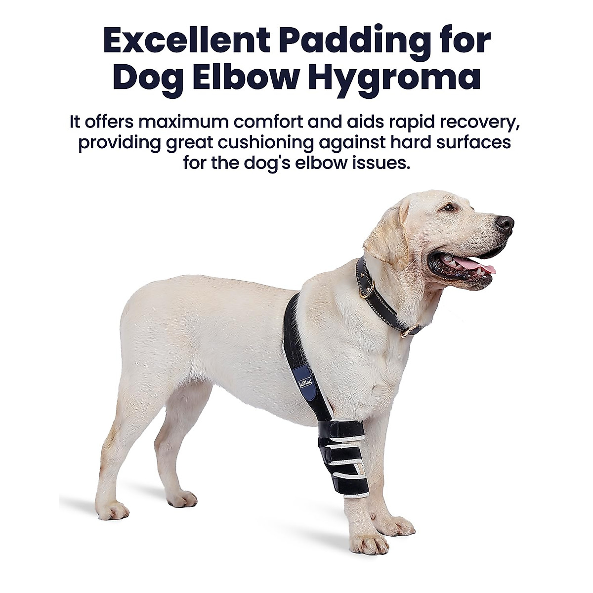 LufeLux Dog Elbow Protector, Padded Elbow Brace for Canine, Shoulder Support Protection for Callus, Hygroma, Dysplasia, Arthritis, Osteoarthritis, Pressure Sores, Avoid Cone of Shame