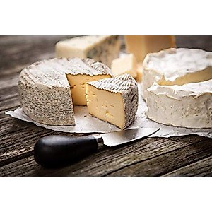 Microbial Rennet For Cheese Making | Vegetarian Rennet Tablets | Milk Coagulant | Vegan Cheese making | Shelf-Stable Rennet Tablets, Perforated For Easy Use