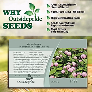Outsidepride Gomphrena Salmon Globe Amaranth Garden Cut Flower Plants Great for Dried Floral Arrangements - 2000 Seeds