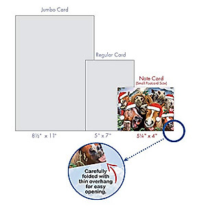 The Best Card Company - Variety Pack of 20 Christmas Greeting Cards with Envelopes, Humor Holiday Assortment for Men and Women (10 Designs, 2 Each) Merry Christmas to Zoo AM6652XSG-B2x10