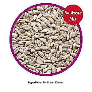 Lyric Sunflower Kernels Wild Bird Seed No Waste Bird Food Attracts Finches & More 25 lb. bag