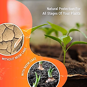 Yield Titan Premium Neem Cake, Natural Fertilizer for Gardening and Soil Amendment (6LB)