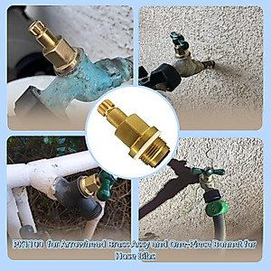 Tfuehn Bonnet PK1100 Brass Globe Valve Faucet Stem Assy for Arrowhead Hose Bibs, Boiler Drains & Sill Faucets