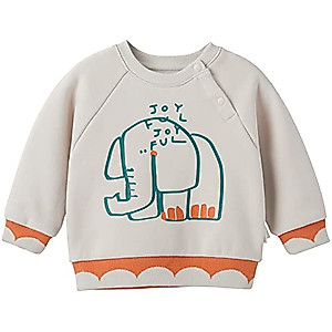 pureborn Toddler Boys Girls Sweatshirt Pullover Crew Neck Long Sleeve Activewear Tops Cotton Tshirts 4T Cream Grey