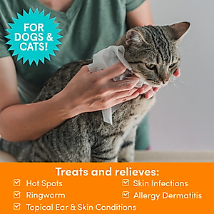 Nootie Medicated Dog Wipes, Chlorhexidine & Miconazole Pet Wipes for Dogs & Cats - 2” Small Wipes, 60 Count - Sold in Over 10,000 Vets & Pet Stores