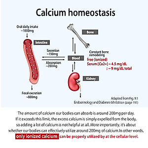 Dr. G's Amazing Ionized Cal Mag Powder, Dietary Supplement for Bone Density Increase, Calcium & Magnesium 2:1 Ratio - 60 Sticks, 60 Day Supply