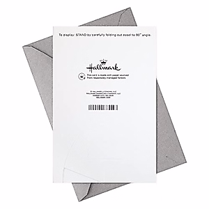 Hallmark Birthday Card for Son (Hangable or Displayable Decoration, Modern Mountains)