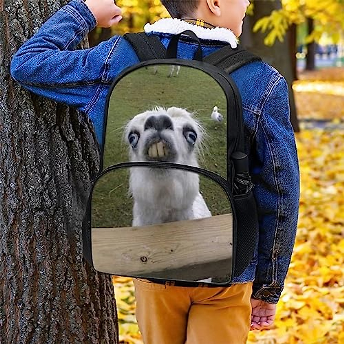 AmzPrint 17 Inch Funny Llama Backpack For Elementary Middle School Alpaca Backpack For Kids Child Back To School As Gift
