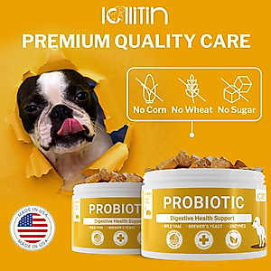 Lollitin Dog Supplement - Made in USA - All Natural - Dog Chews 120 Count - Dog Supplements for Small, Medium, Large Dogs, All Breeds (Probiotic)